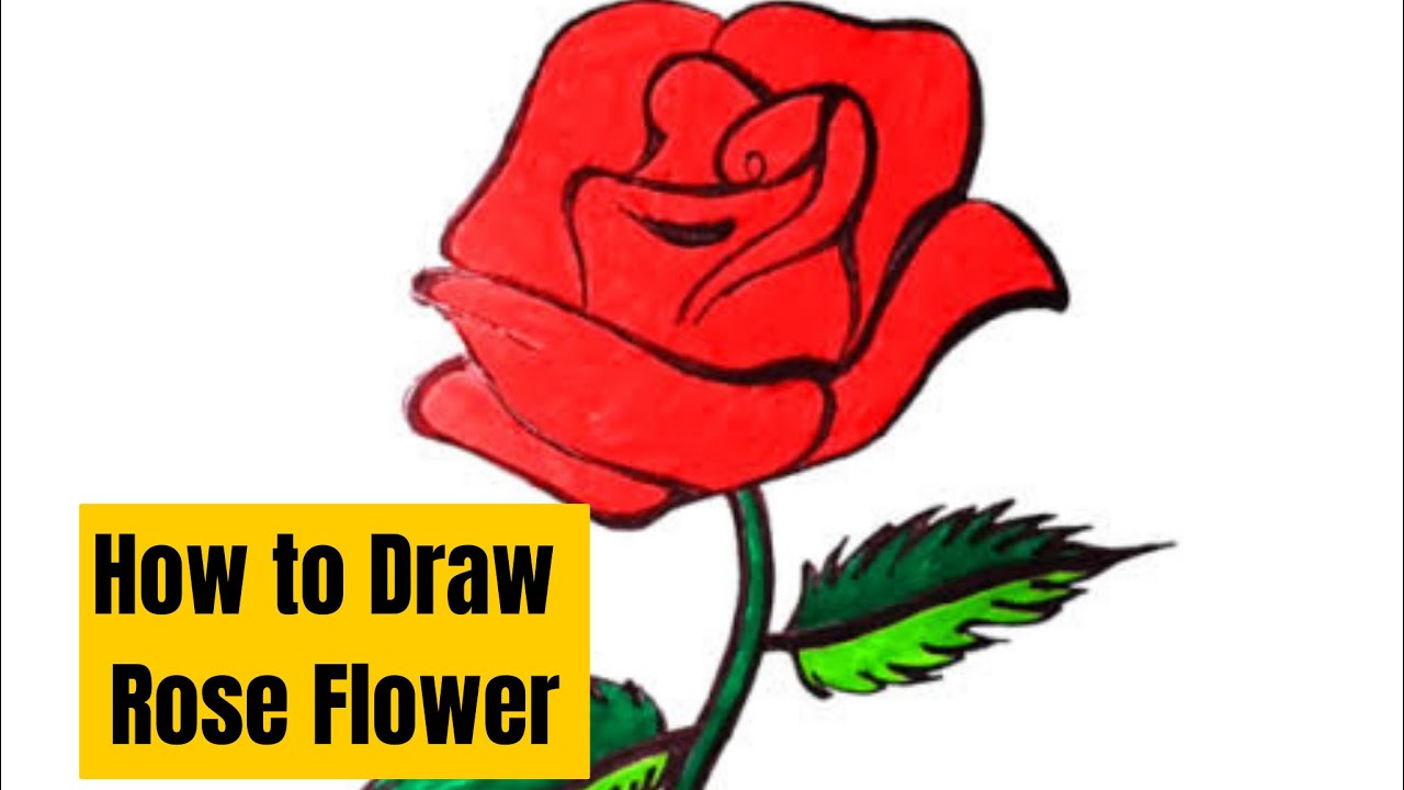How to do painting. Drawing Rose. Red rose painting. Nasty and Roma ...