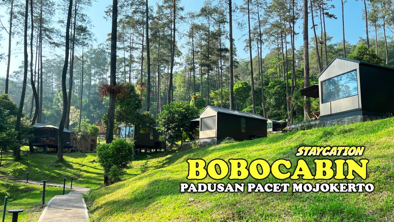 Staycation di Bobocabin Padusan Pacet Mojokerto - YouTube