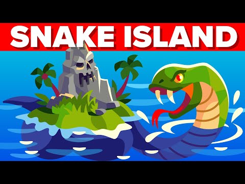 Most Dangerous Place on Earth - Snake Island
