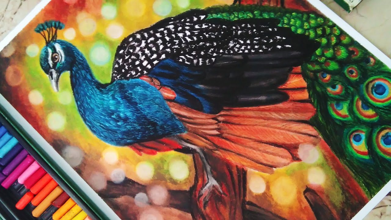 How To Draw A Peacock With Oil Pastels