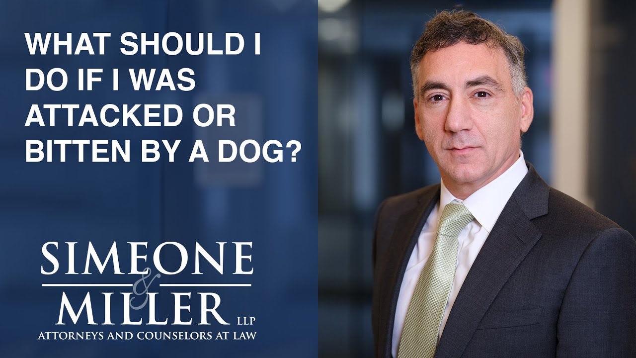 What Should I Do If I Was Attacked Or Bitten By A Dog YouTube what-should-i-do-if-i-was-attacked-or-bitten-by-a-dog-youtube