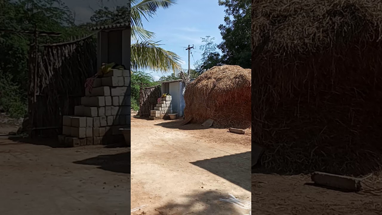 silambu steps - YouTube