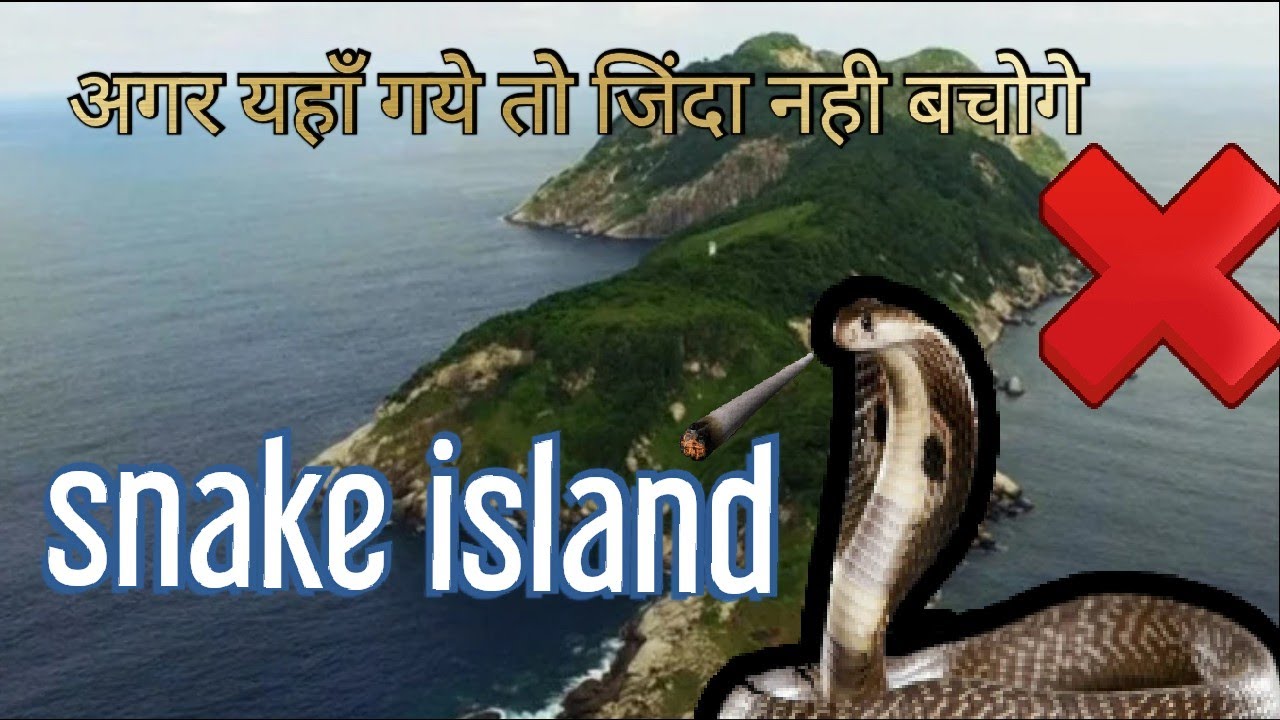 अगर यहाँ गये तो जान से हाथ धो दोगे||Snake Island|| साँपो का आईलैंड ...
