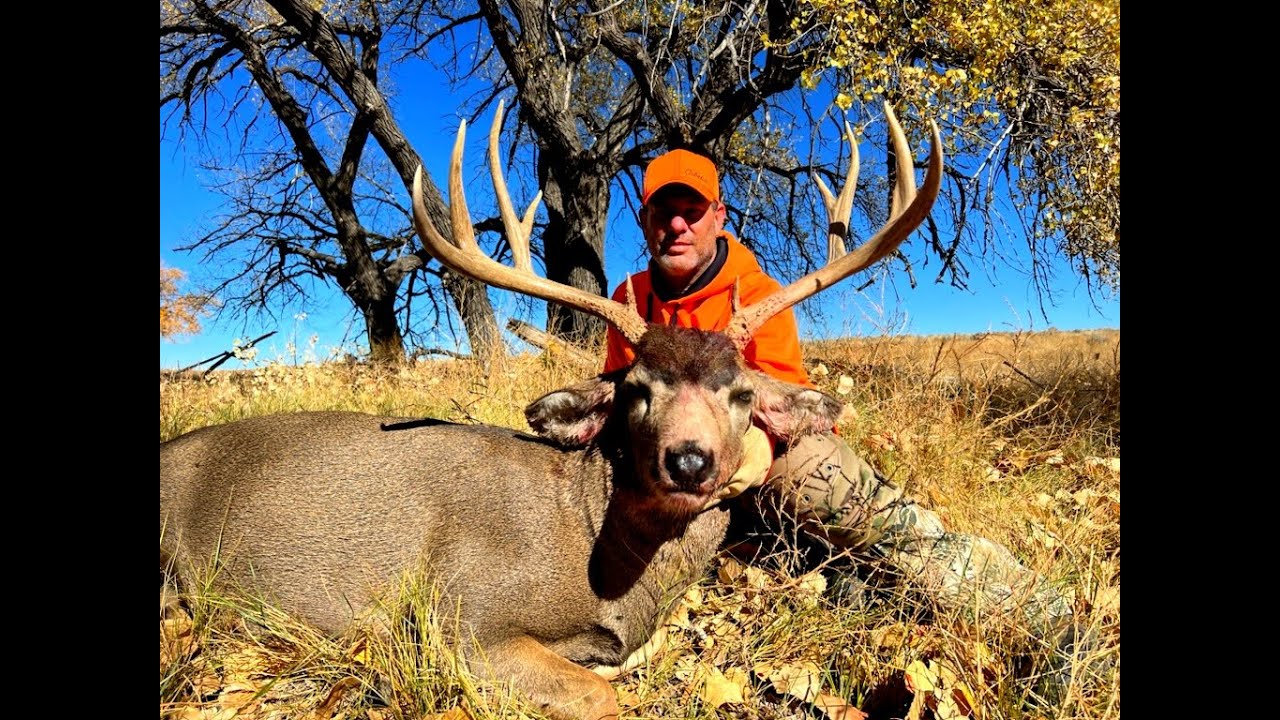 The Heart of Hunting 2022 Eastern Colorado Hybrid Muley Hunt - YouTube