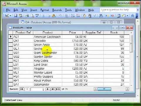 advanced Calculated fields in queries Microsoft Access 2003-xxx - YouTube