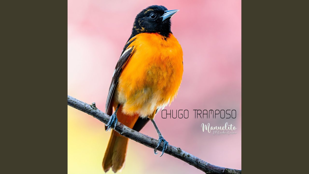 Chugo Tramposo - YouTube