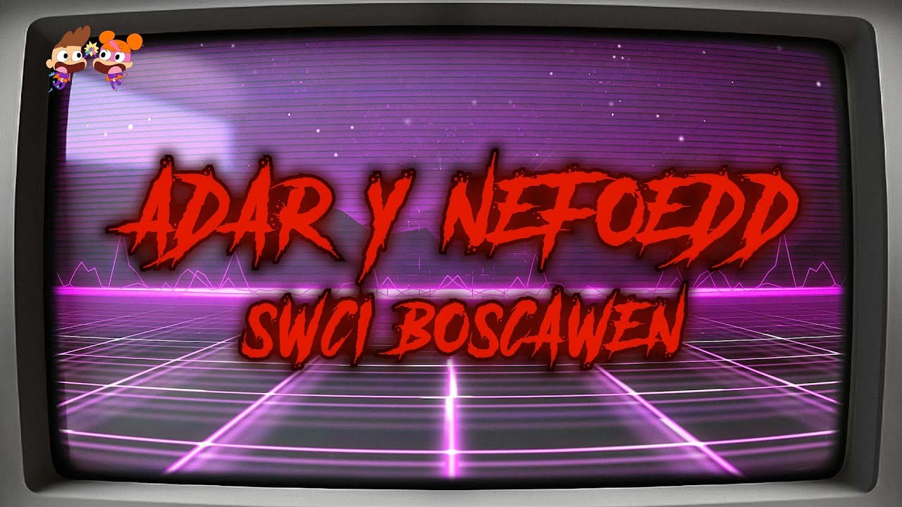 Swci Boscawen - Adar y nefoedd. Cyfres Carioci Seren a Sbarc! Welsh ...