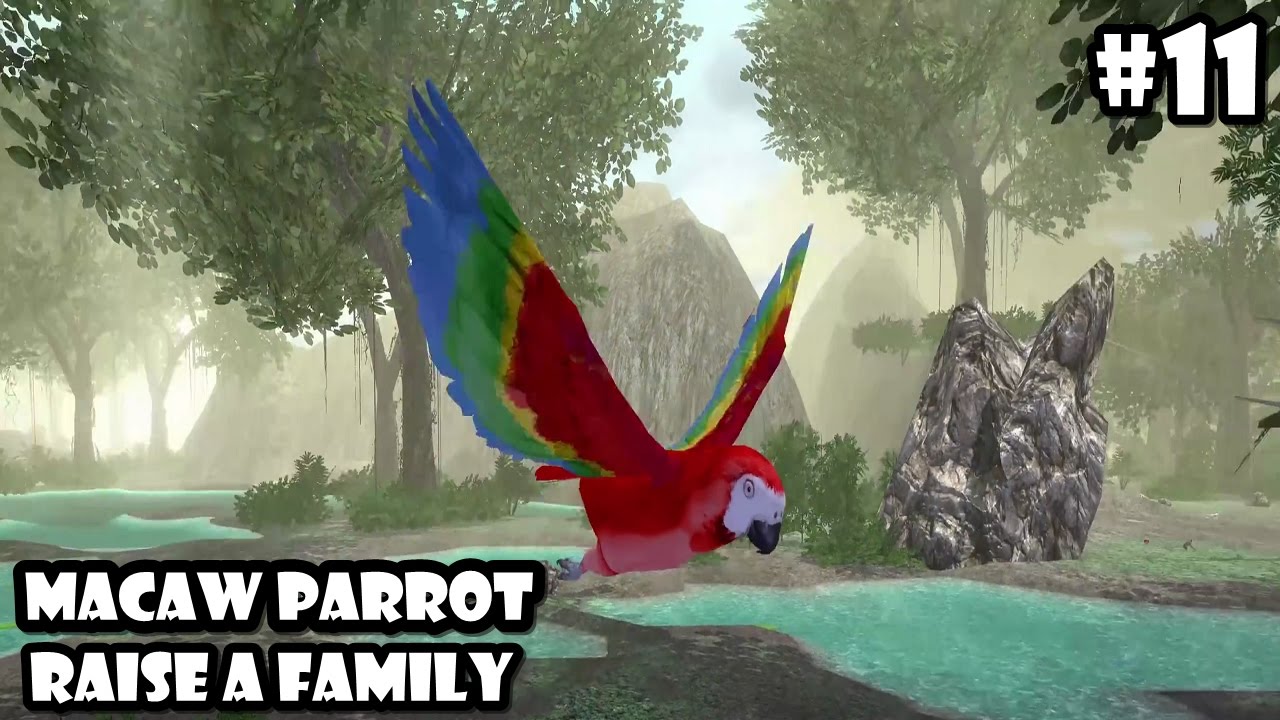 Ultimate Jungle Simulator - Macaw Parrot : Raise a Family - Android/iOS ...