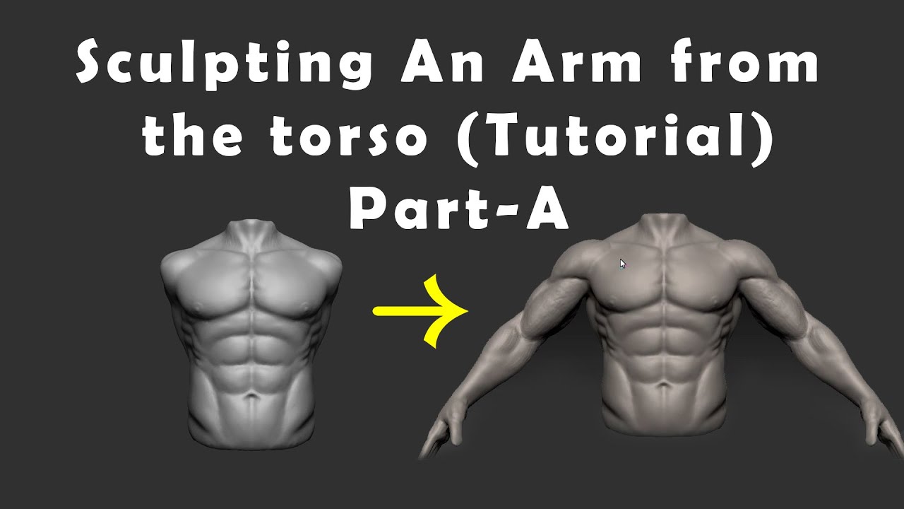 Sculpting A Male Character - Arm (Part-A) - How To Sculpt Arm (Speed ...