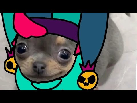 Godeik x Trebor♥️ - YouTube