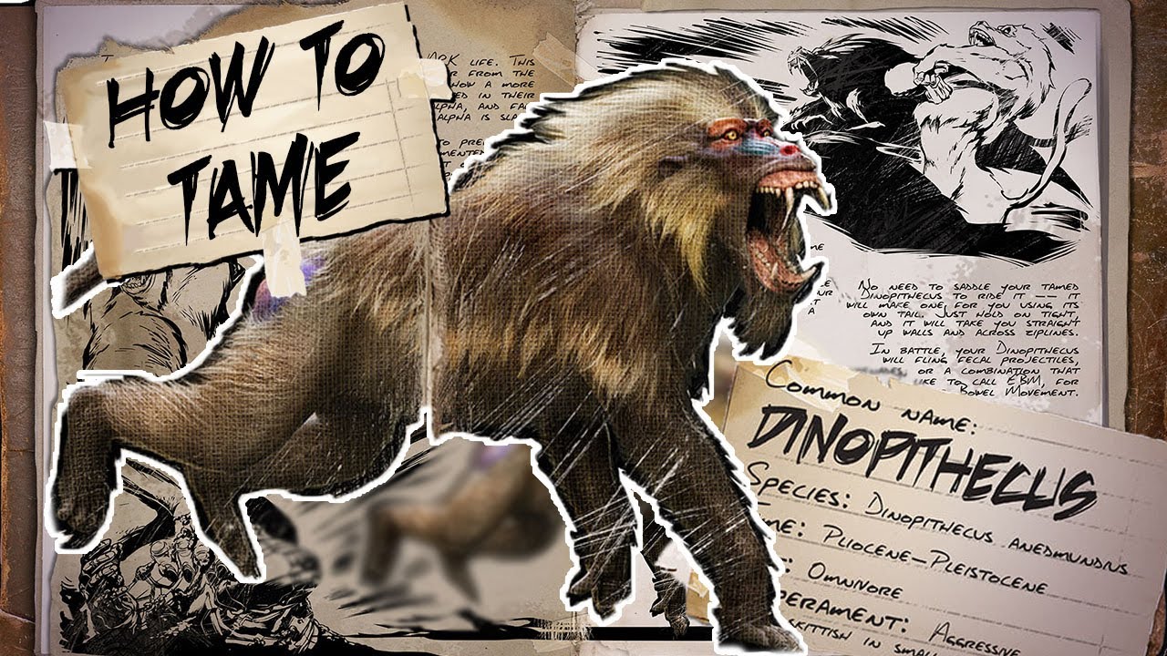 Ark Survival Evolved How To Tame Dinopithecus - YouTube