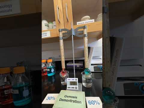 Human Physiology Osmosis Lab Demonstration Timelapse - YouTube