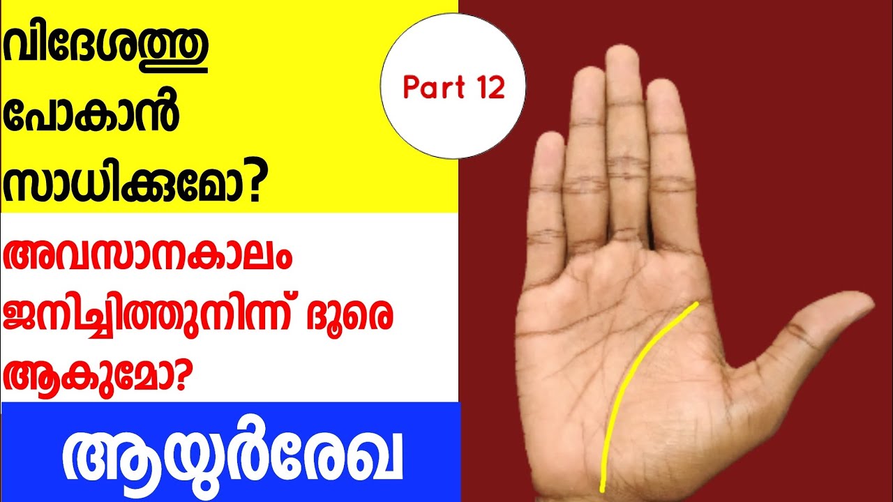 ആയുർ രേഖ Ayur Rekha Hasta Rekha Shastra Malayalam - YouTube