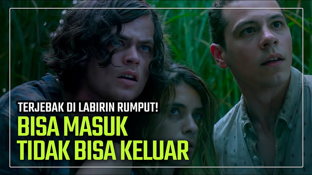 Terjebak di Labirin Rumput, Bisa masuk tidak bisa keluar | Alur Cerita ...