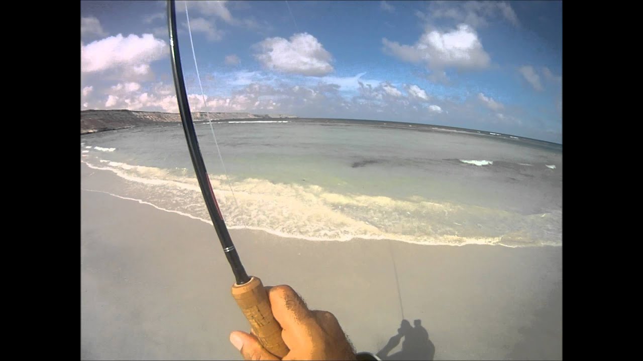 Fly fishing for Bream in Oman - YouTube