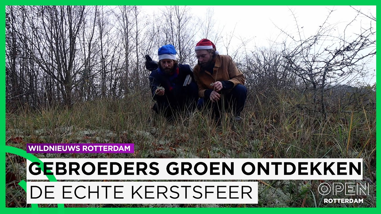 Gebroeders Groen ontdekken de echte kerstsfeer in de Rotterdamse ...