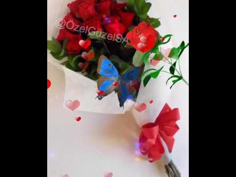 Hayırlı sabahlar günaydın