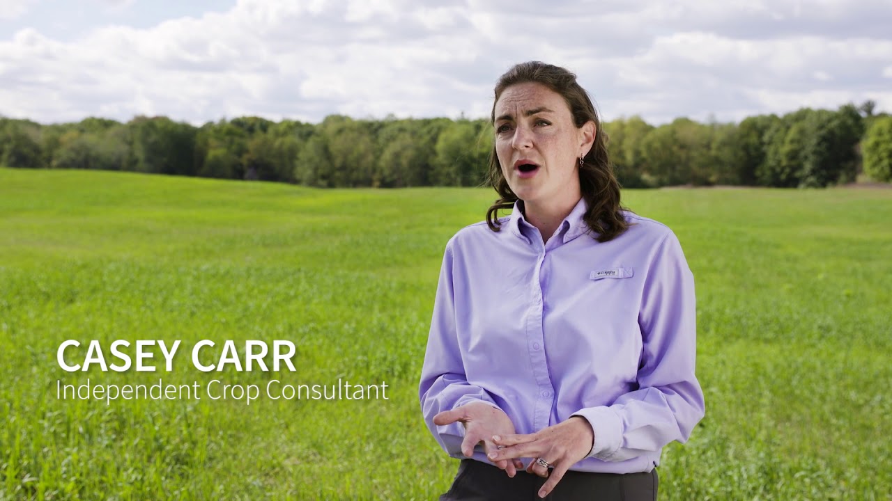 Fruit & Vegetable Crop Management at MSU IAT/ Montcalm Community ...