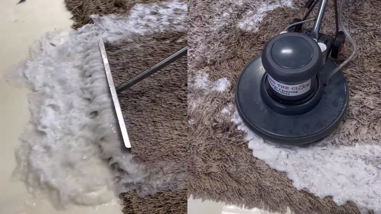 SHAG Rug Washing! | Qrw Ep.26 #oddlysatisfying #soapy #carpetcleaning # ...