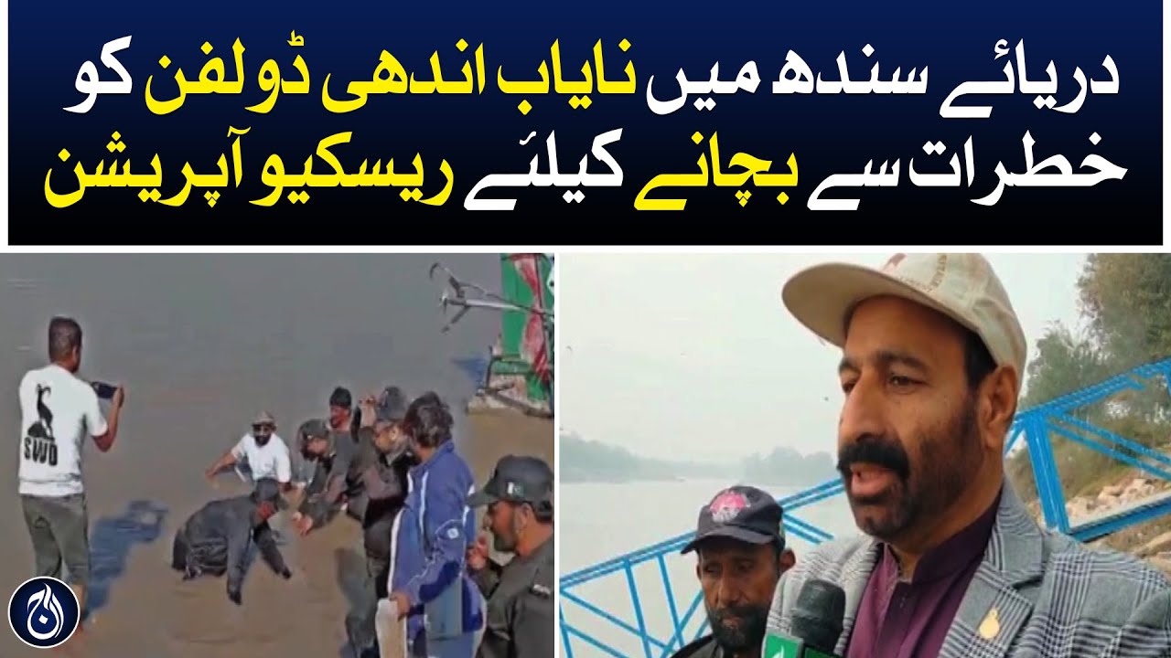 Rescue operation to save the rare blind dolphins in the Indus River ...