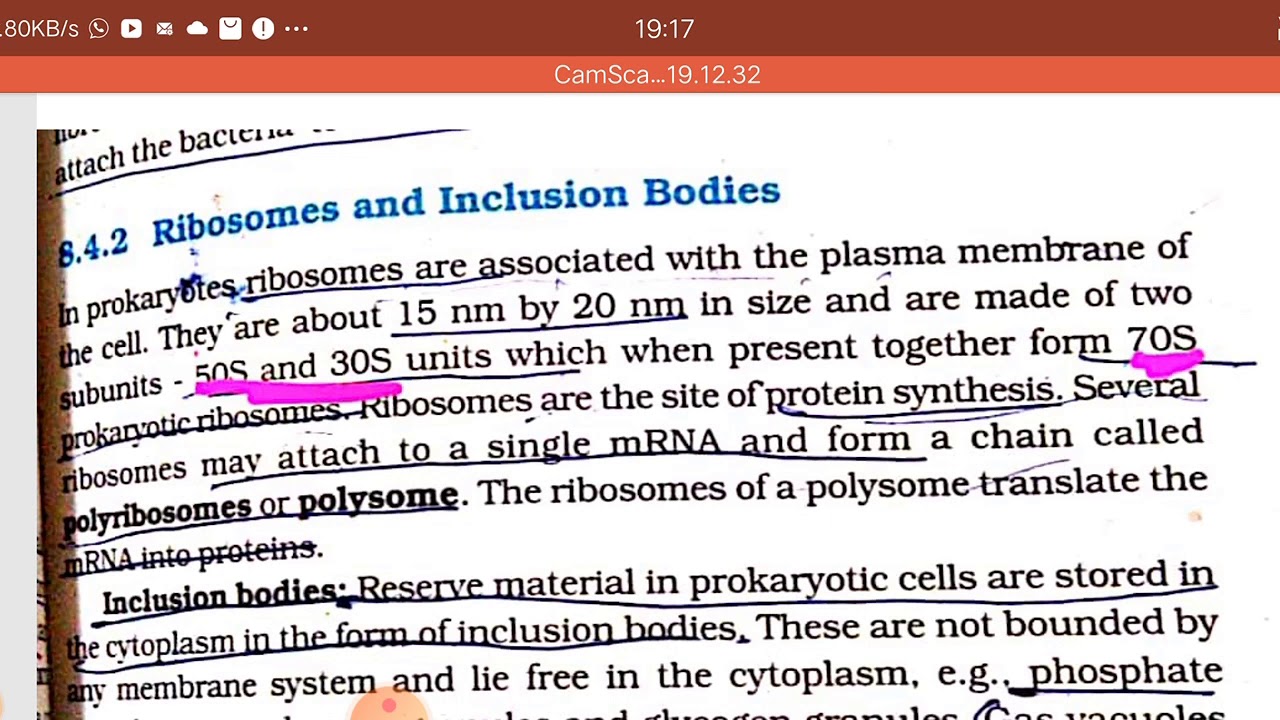 Cell the unit of life svedberg's unit odcs - YouTube