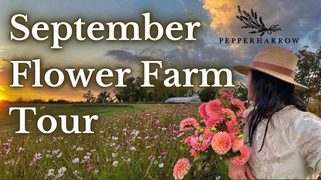 Flower Farming Paradise: September Farm Tour | PepperHarrow - YouTube