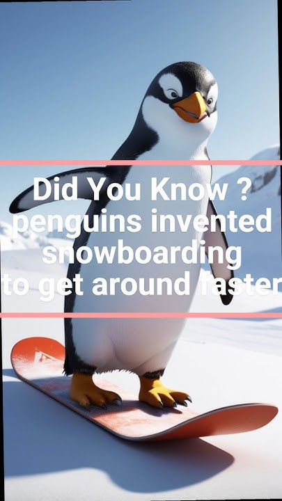 Penguins invented snowboarding to get around faster? | Did you know ...