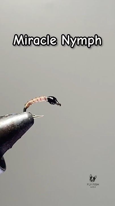 Miracle Nymph | Quick Tie | #flytying #flyfishing #shorts #tutorial #learning #explore - YouTube