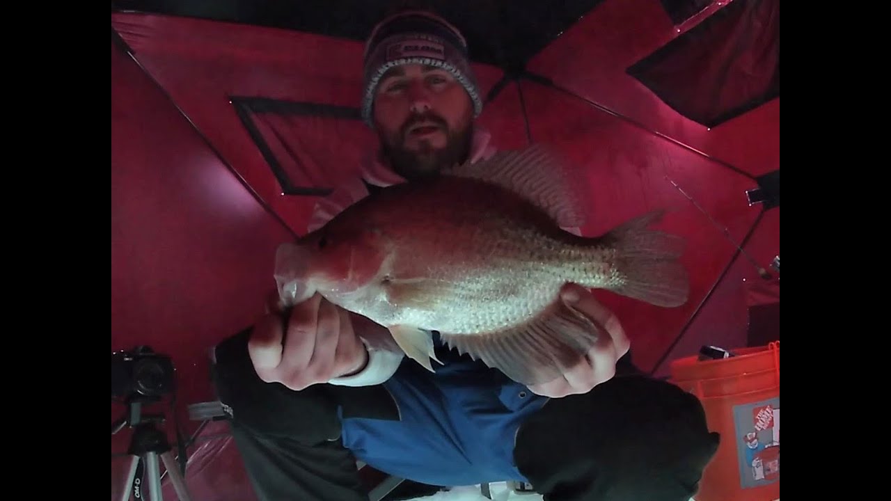 We found the GIANT CRAPPIE!!!! - Ice fishing for SLABS - YouTube