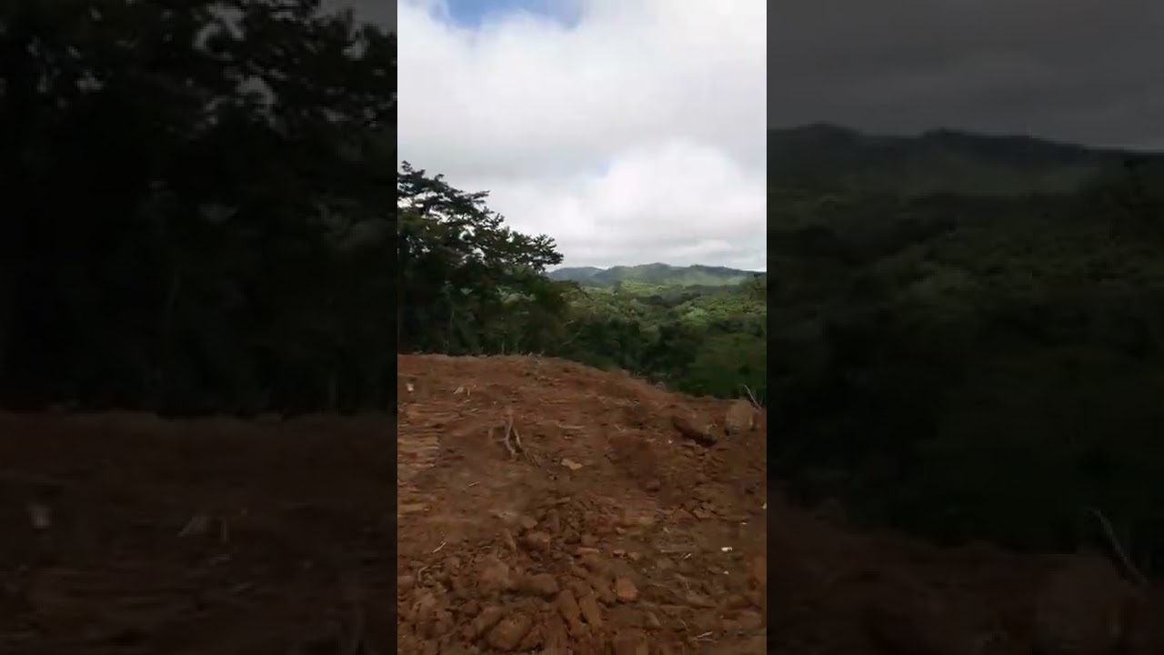 LADANG FGV NENERING 02#BULUH BETONG - YouTube