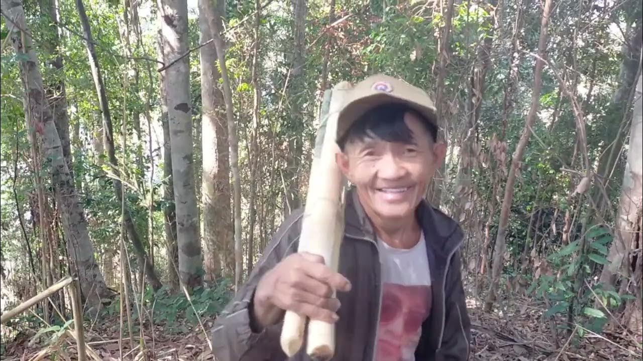 nyob zoo os hnub no xyooj wb mus tho plawv iab 14/1/2025 - YouTube