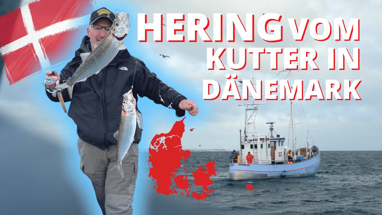 Heringsangeln in Dänemark - So fangt ihr dicke Heringe vom Kutter - YouTube