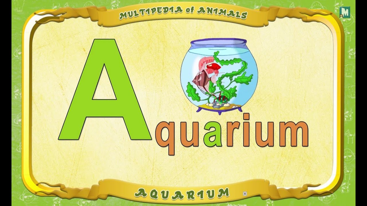 Multipedia of Animals - Letter A - Aquarium - YouTube