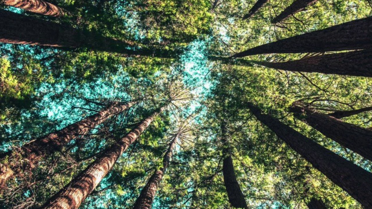 Crossed Paths Workshop #1 - Memories - YouTube