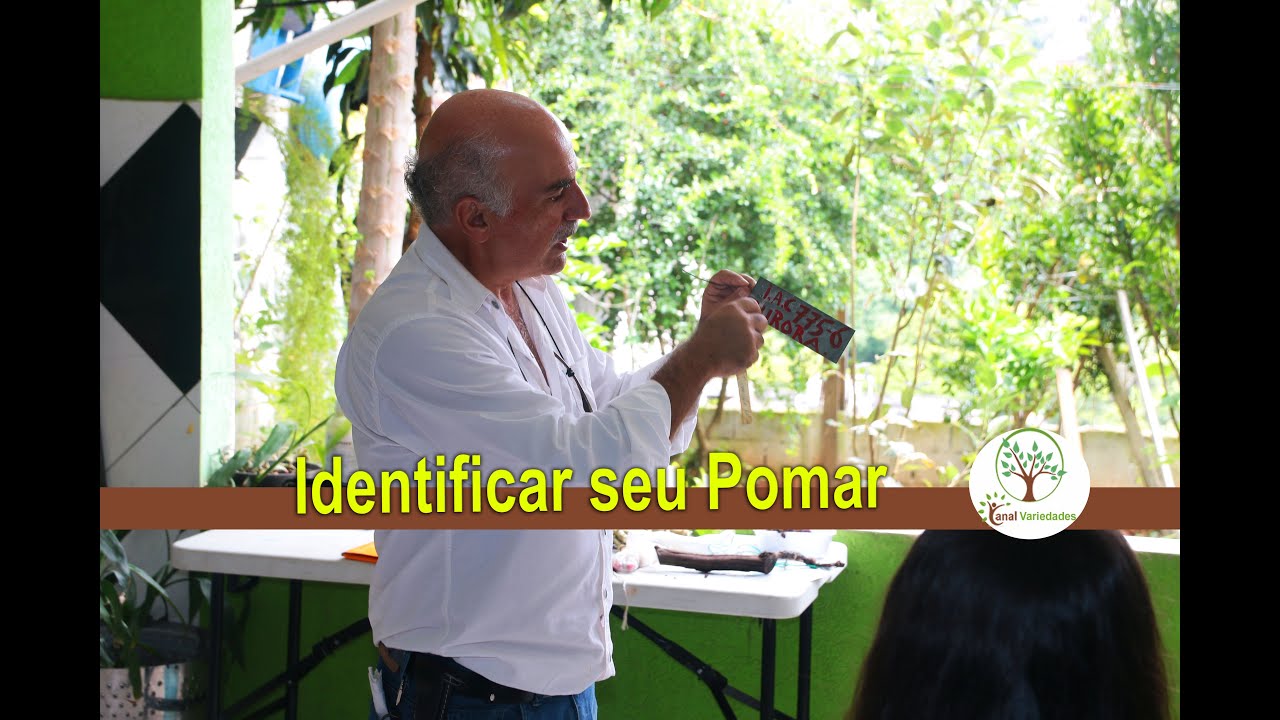 Identificar seu Pomar - veja aula - YouTube