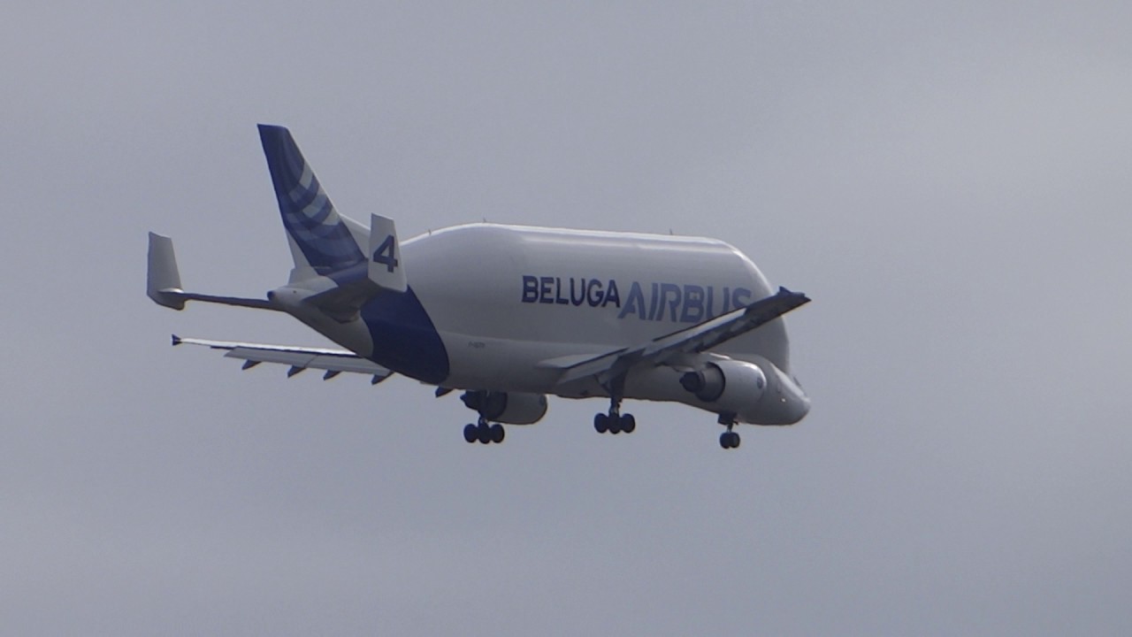 Beluga Airbus A300ST F-GSTD Landing approach Hamburg Finkenwerder - YouTube