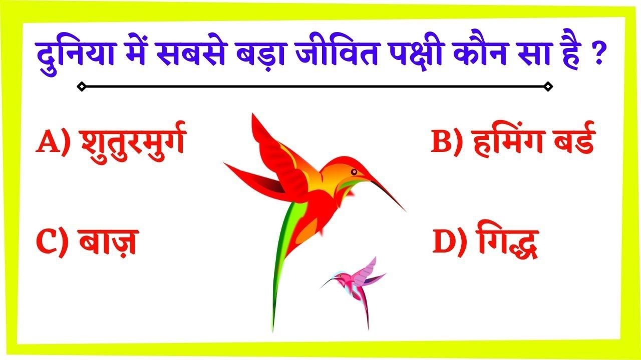 Top 5 Gk Question And Answer Today New Gk Question #gkquiz #Gk Quiz ...