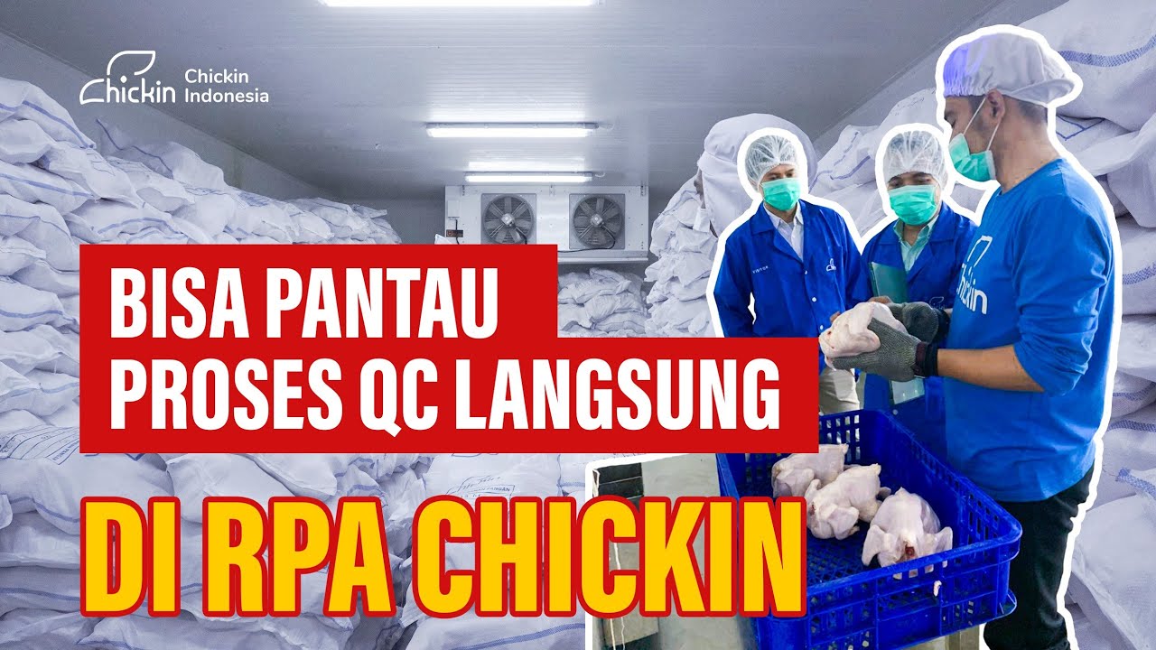 Kualitas Terjamin! Testimoni Tim KAF Fried Chicken dengan Produk ...