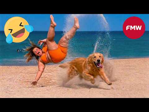 Try Not To Laugh 🤣 Top 100 Funniest Videos Ever 😂 | Funny Videos Compilation 2026 #153