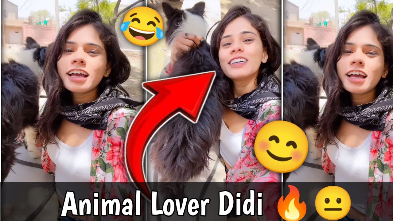 Animal Lover Didi 🔥😐| Instagram Funny Comments | Raval React | #youtube #roast #trending_1 - YouTube