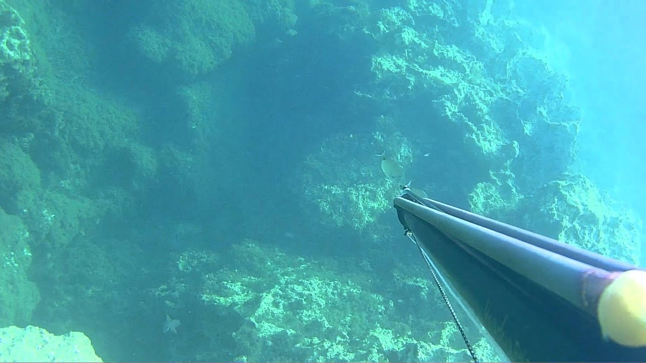 Lampedusa un isola bellissima. pesca sub apnea - YouTube