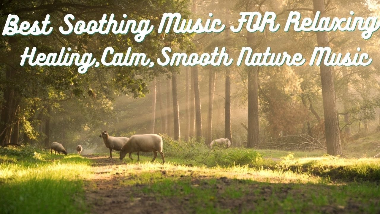 Soothing Music for Relaxation, Deep Sleep Piano Music, Stress, Study ...