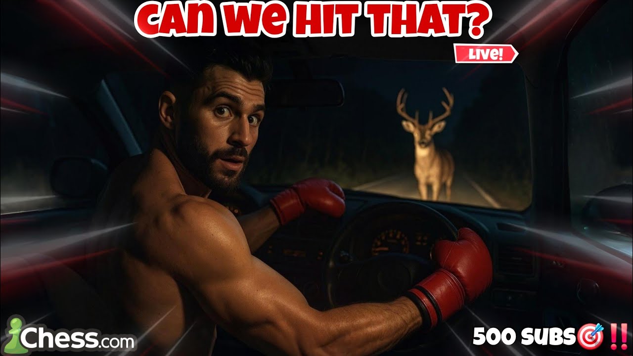 boxer bhai can hit that‼️on chess.com #live #chess - YouTube