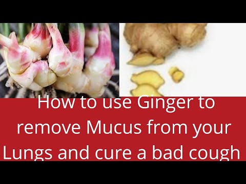 #Ginger Homeremedies How To Use Ginger to Remove Mucus From Your Lungs ...