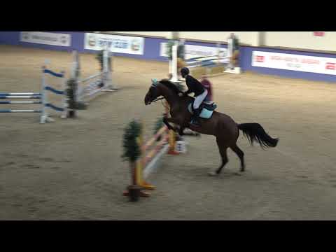 ARDA YAMAN - KORNELISHEVE, İASK ONE DAY SHOW 9 MART MÜSABAKALARI 100 CM Y, G, GY, YT BEŞİNCİSİ