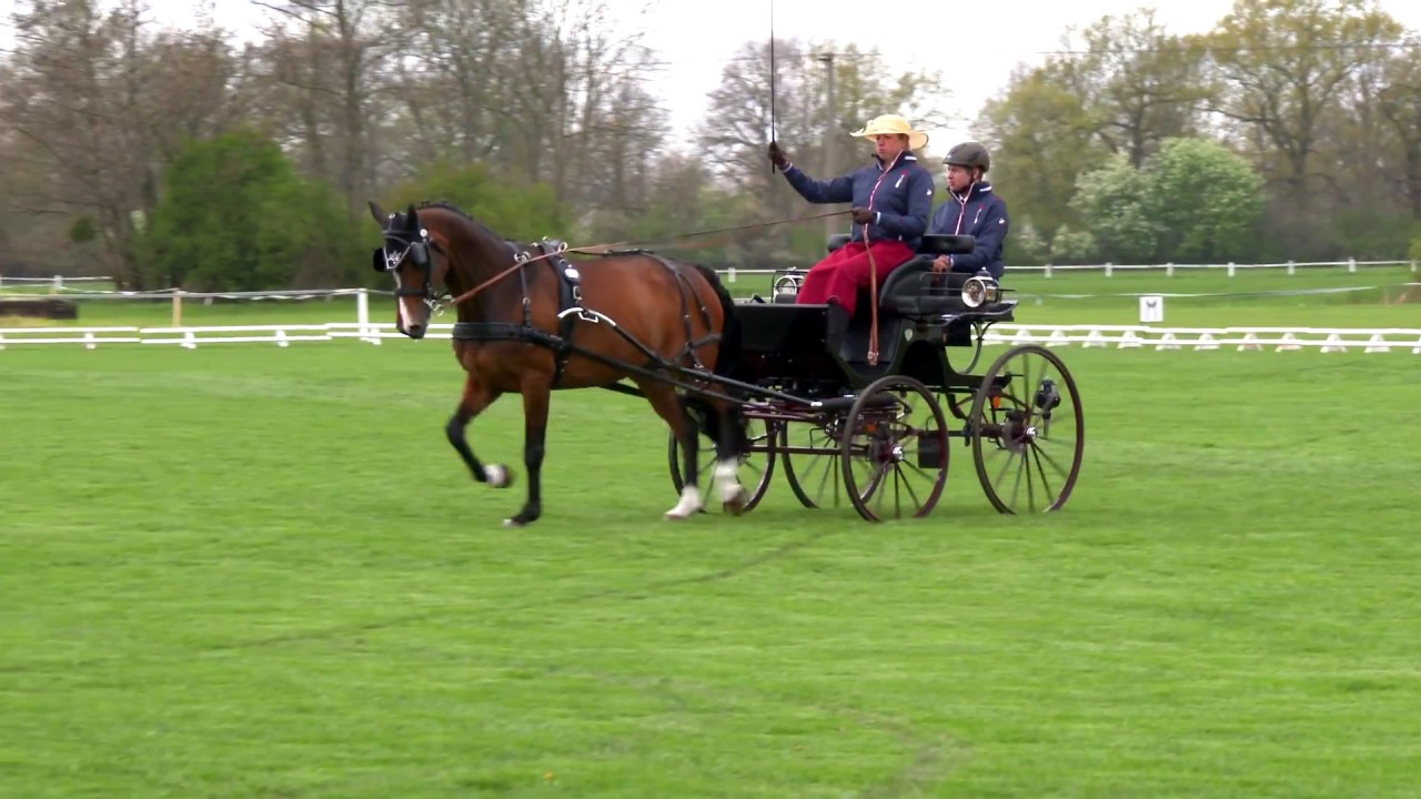 CAI Kladruby CZE - Anika Geiger GER | Annabelle - YouTube