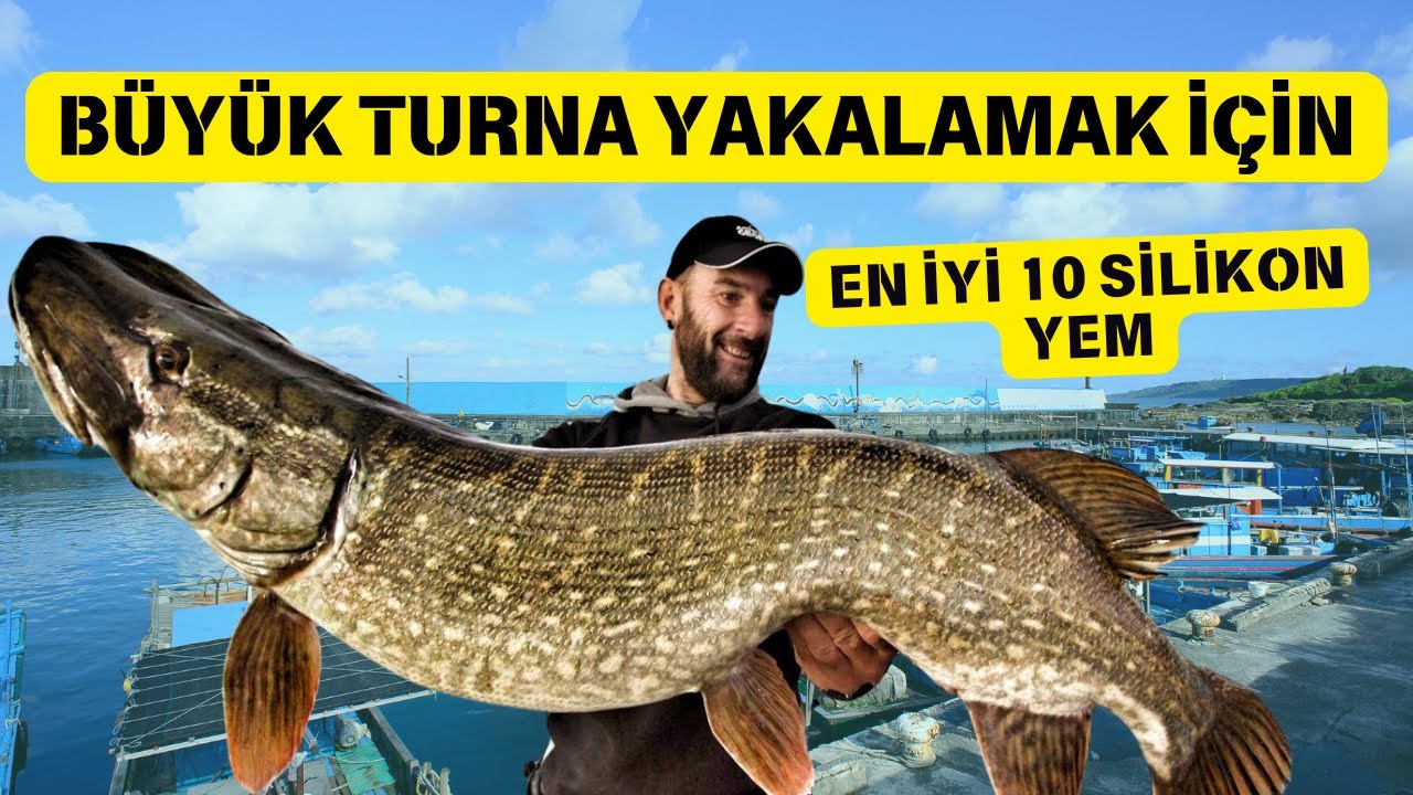 Büyük Turna Balığı Yakalamak İçin En Etkili 10 Silikon Yem Önerisi ...