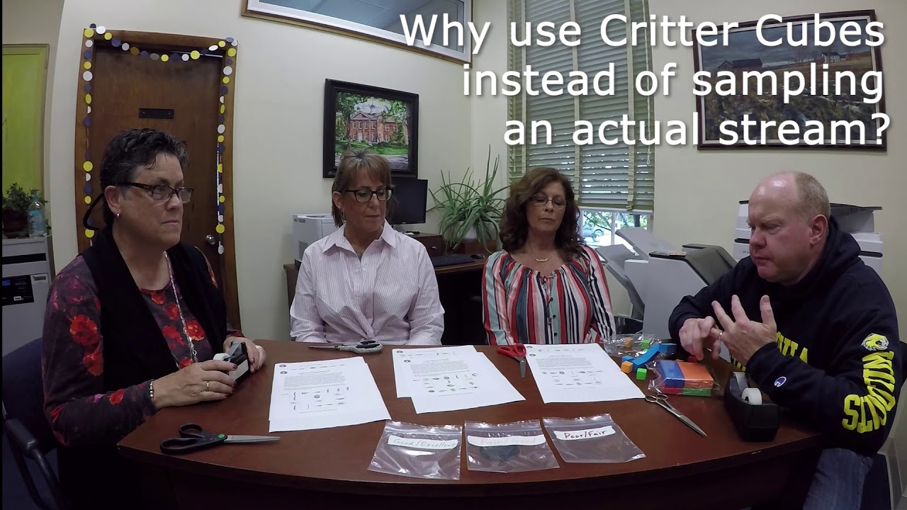 Making Creek Freaks* Critter Cubes from printed templates - YouTube