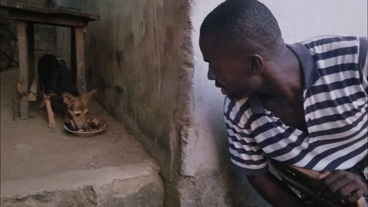 le chichard 😅😅. voilà alors les conséquences - YouTube