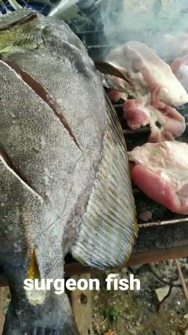 SURGEON FISH | GRILLED INDANGAN FISH - YouTube